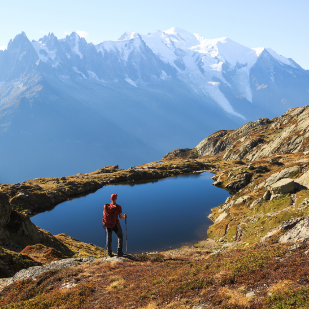 Fair Trade Organic French Roast – Due Torri Coffee